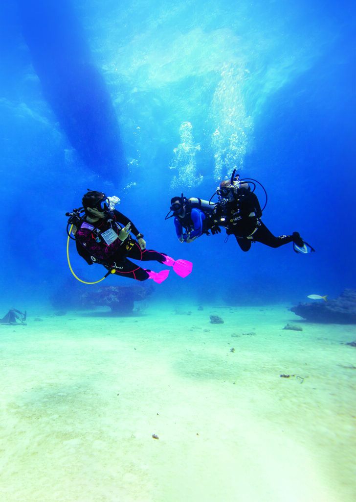 PADI Divemaster Course in the Bahamas - Epic Diving